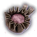 Ashes of Worg Fang - bg3.wiki