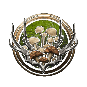 Circle of the Spores - bg3.wiki