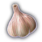 Garlic - bg3.wiki
