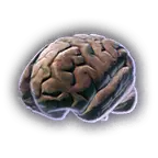 Mind Flayer Brain - bg3.wiki