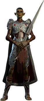 Gish For'reth - bg3.wiki