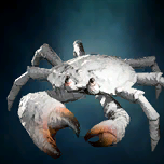 Crab - bg3.wiki