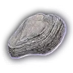 Nut-Buster - bg3.wiki