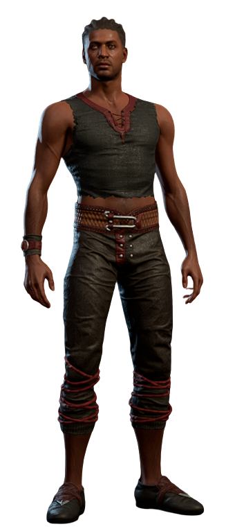Wyll's Earthy Garb - bg3.wiki