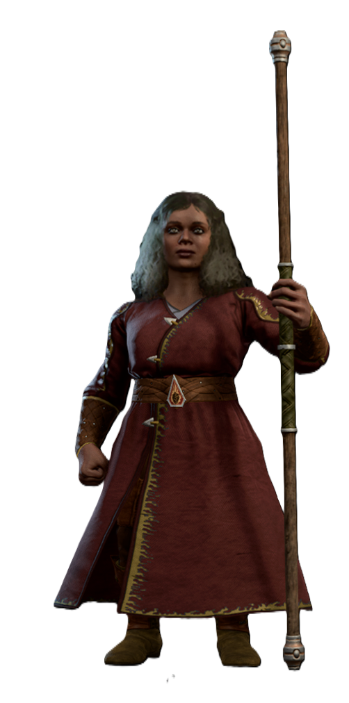 Flaming Fist Wizard - bg3.wiki