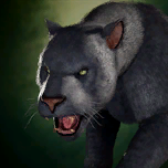 Panther - bg3.wiki