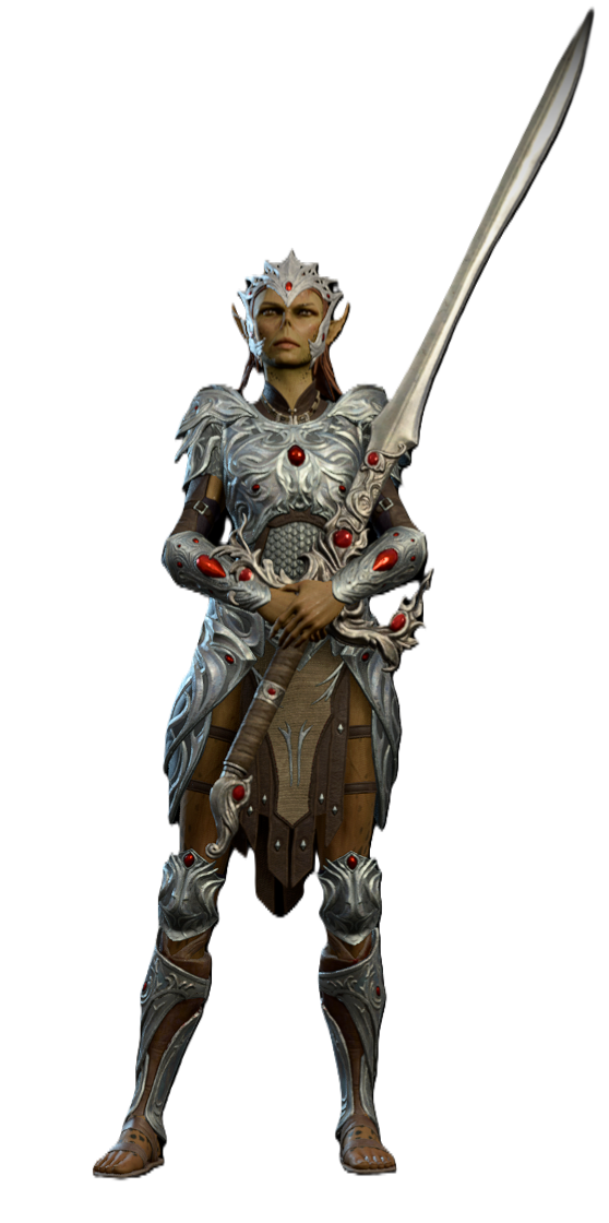 Veteran Warrior - bg3.wiki