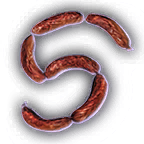Spicy Sausage Links - bg3.wiki