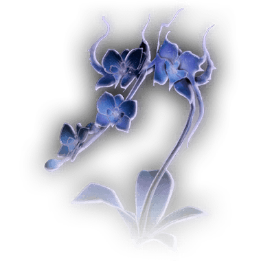 Night Orchid - Baldur's Gate 3 Wiki