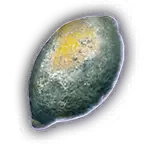 Rotten Lemon - bg3.wiki
