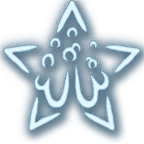 Elemental Adept: Acid - bg3.wiki