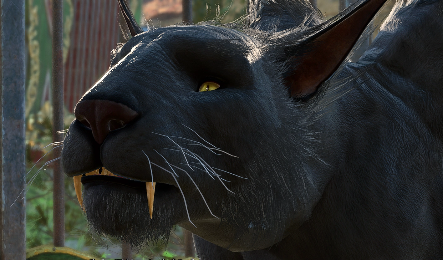 Shadow-Whiskers - bg3.wiki