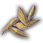 Yellow Musk Creeper Petals - bg3.wiki