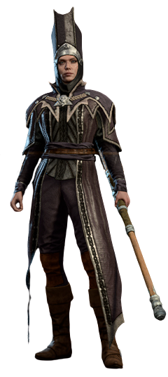 Adept of the Absolute - bg3.wiki