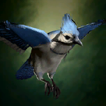 Wounded Bird - bg3.wiki