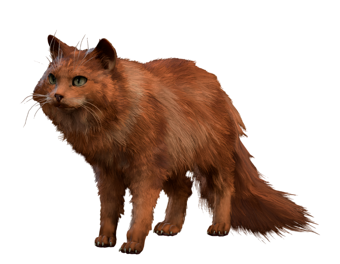 Cat - bg3.wiki
