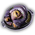 Boiled Beholder Eyestalks - bg3.wiki