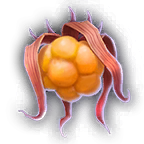 Goodberry (Item) - bg3.wiki