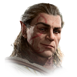 Companions - bg3.wiki