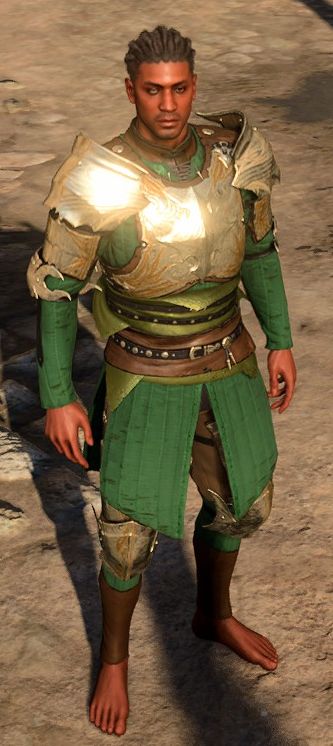 Half Plate Armour +2 - bg3.wiki