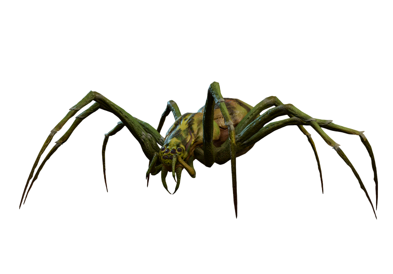 Aranea - bg3.wiki