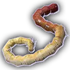 Carrion Crawler Tentacle - bg3.wiki