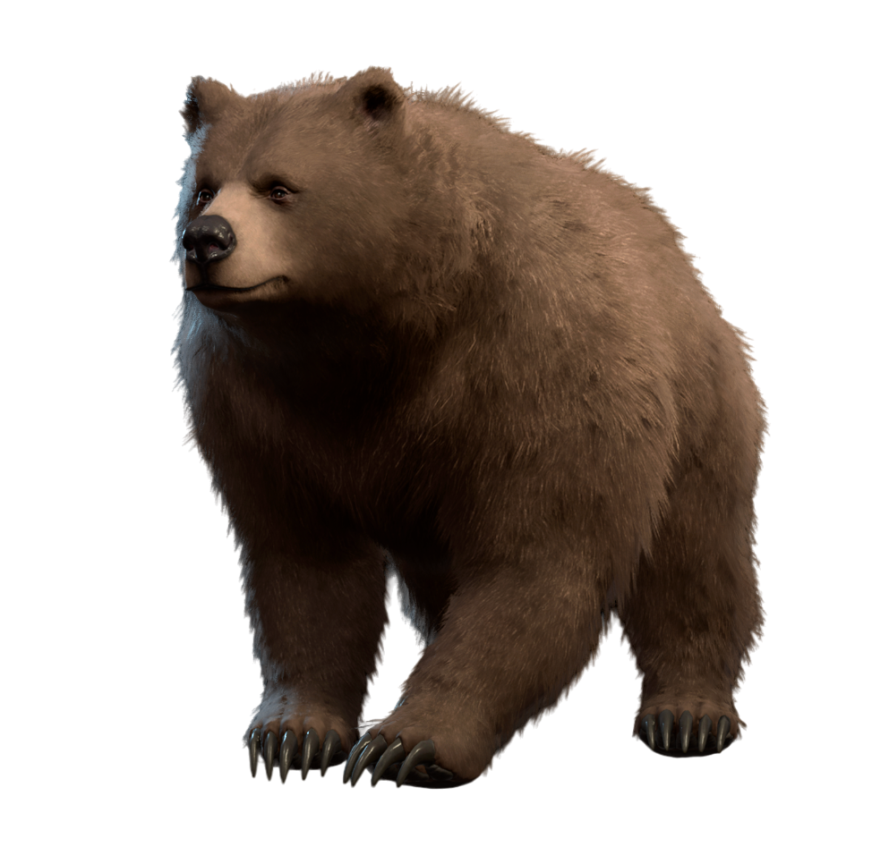 Ursa - bg3.wiki