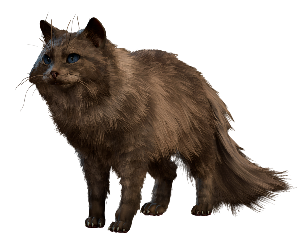 Conjured Cat - bg3.wiki