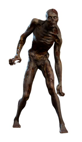 Zombie - bg3.wiki