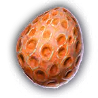 The Sovereign's Key - bg3.wiki