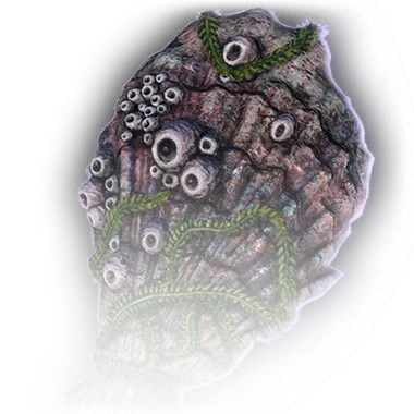 Fossilised Shell - Baldur's Gate 3 Wiki