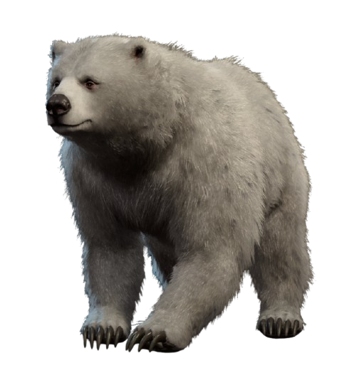 Bear (wild shape) - bg3.wiki