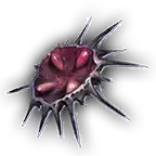 Hollow Shell - bg3.wiki