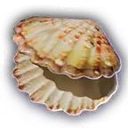 Clamshell - bg3.wiki