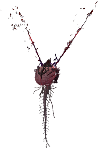 File:Netherbrain Model.png - Baldur's Gate 3 Wiki