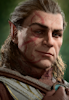 File:Halsin Portrait.png - bg3.wiki