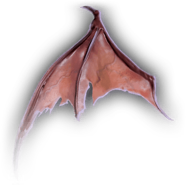 Imp Patagium - Baldur's Gate 3 Wiki