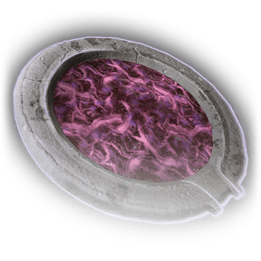 Vitriol of Lolth's Candle - bg3.wiki