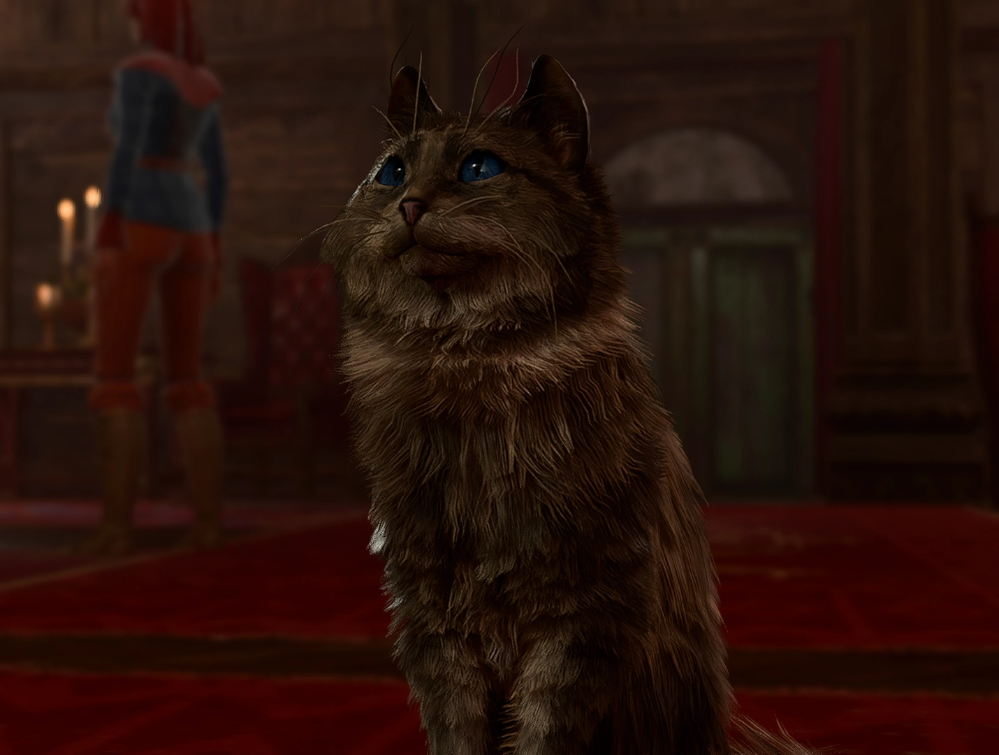 Kira the Cat - bg3.wiki