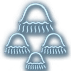 Cloud of Jellyfish - bg3.wiki