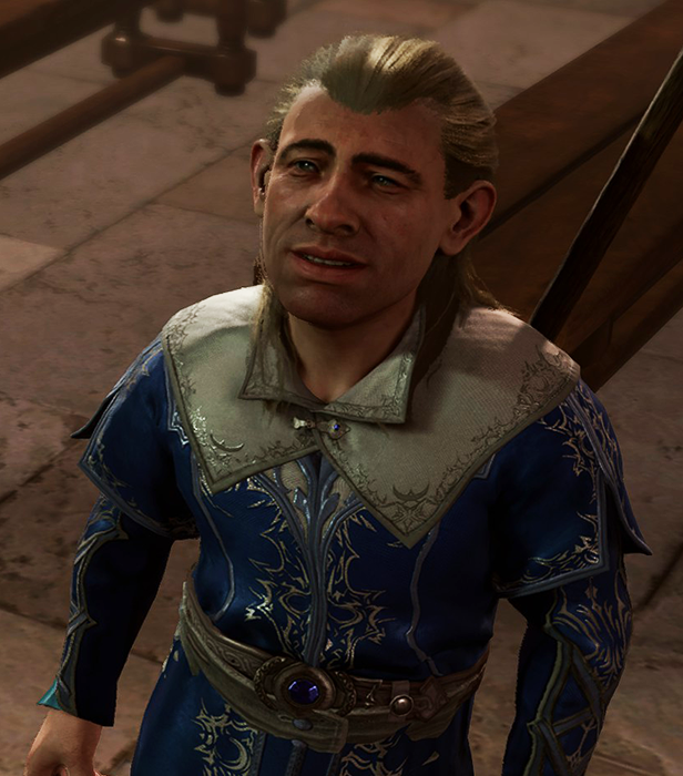 Lord Shattershield's Bodyguard - bg3.wiki