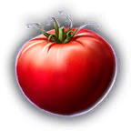 Tomato - bg3.wiki
