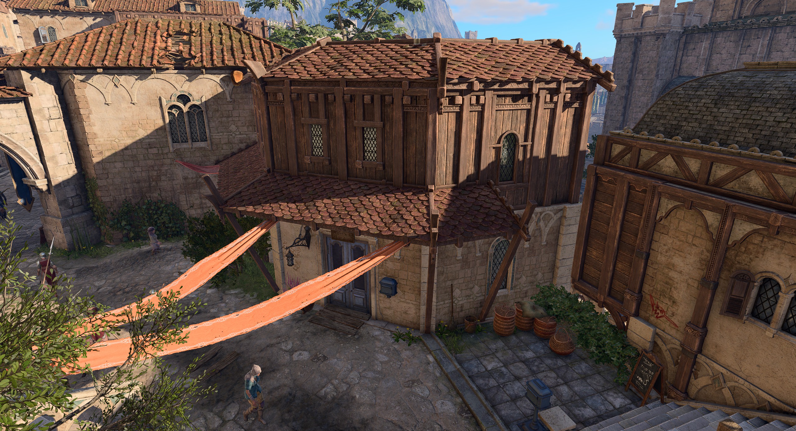 The Bibliophile - bg3.wiki