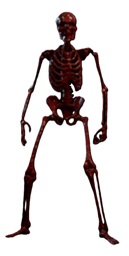 Bloodmarrow Skeleton - bg3.wiki