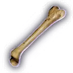 Bone - bg3.wiki