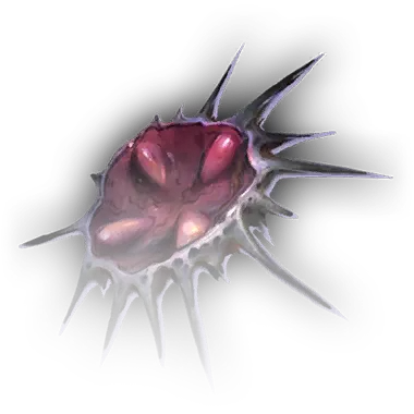 Hollow Shell - Baldur's Gate 3 Wiki
