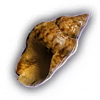 Conch Shell - bg3.wiki