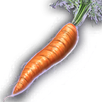 Carrot - bg3.wiki