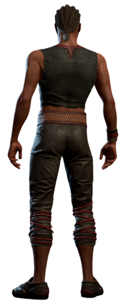 Wyll's Earthy Garb - bg3.wiki