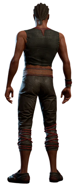 Wyll's Earthy Garb - bg3.wiki